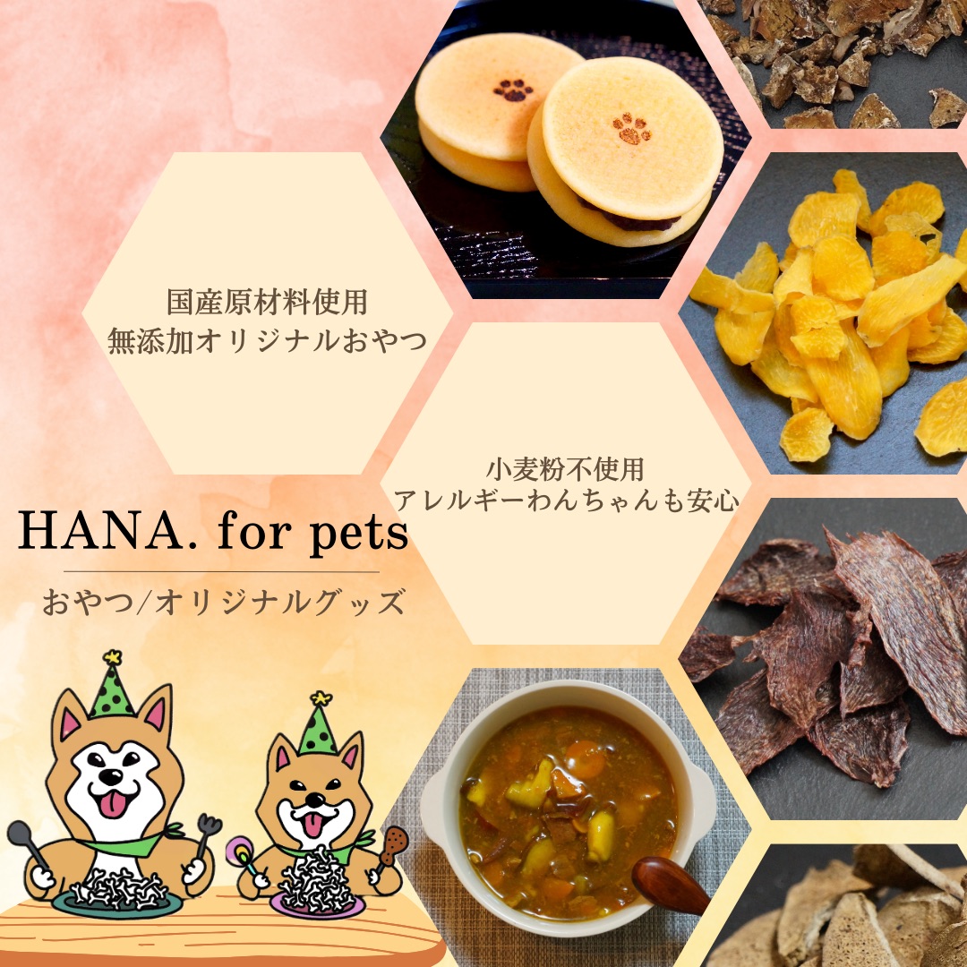 HANA. for pets | 令和日本犬博公式サイト